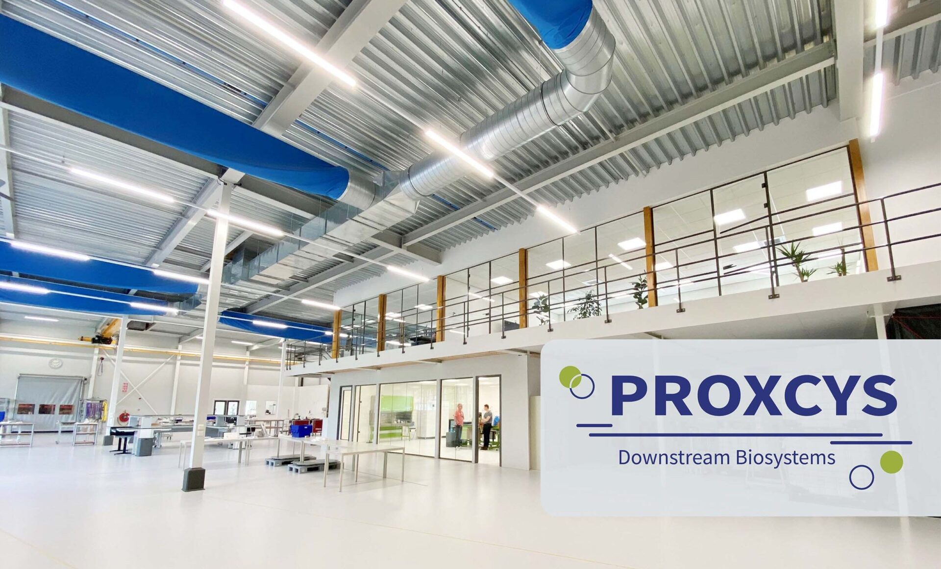 Our vacancies – Proxcys